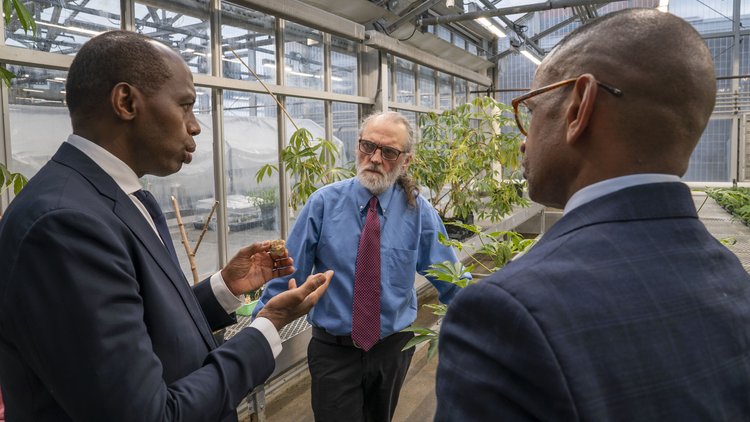 How the Donald Danforth Plant Science Center is helping African farmers ...