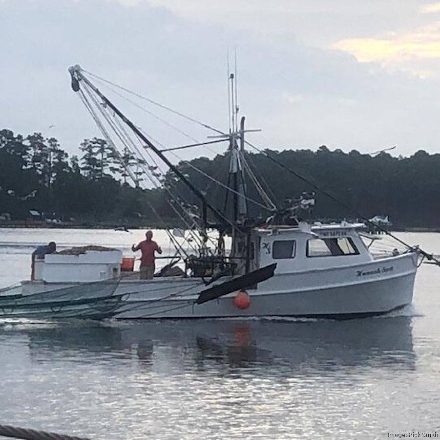 Shrimp Trawler Bycatch