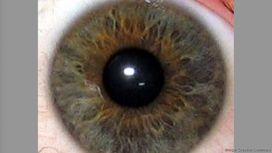 Perfuse Therapeutics targets pivotal trials for glaucoma, diabetic ...