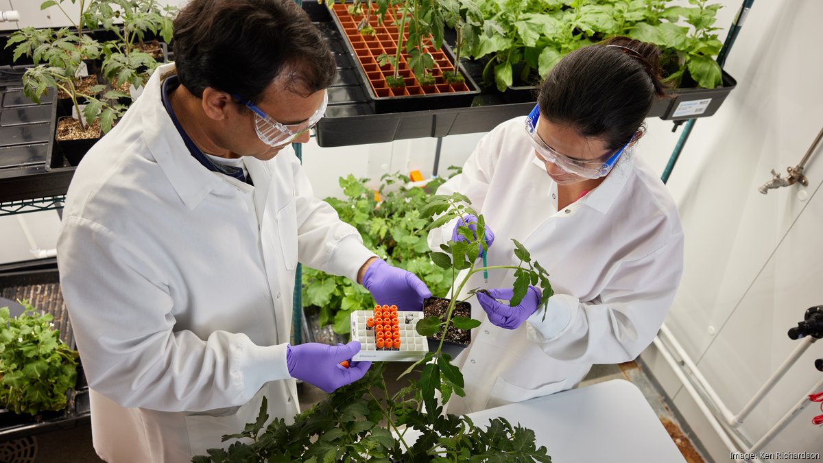 Flagship Pioneering launches Terrana Biosciences to make plant vaccines ...