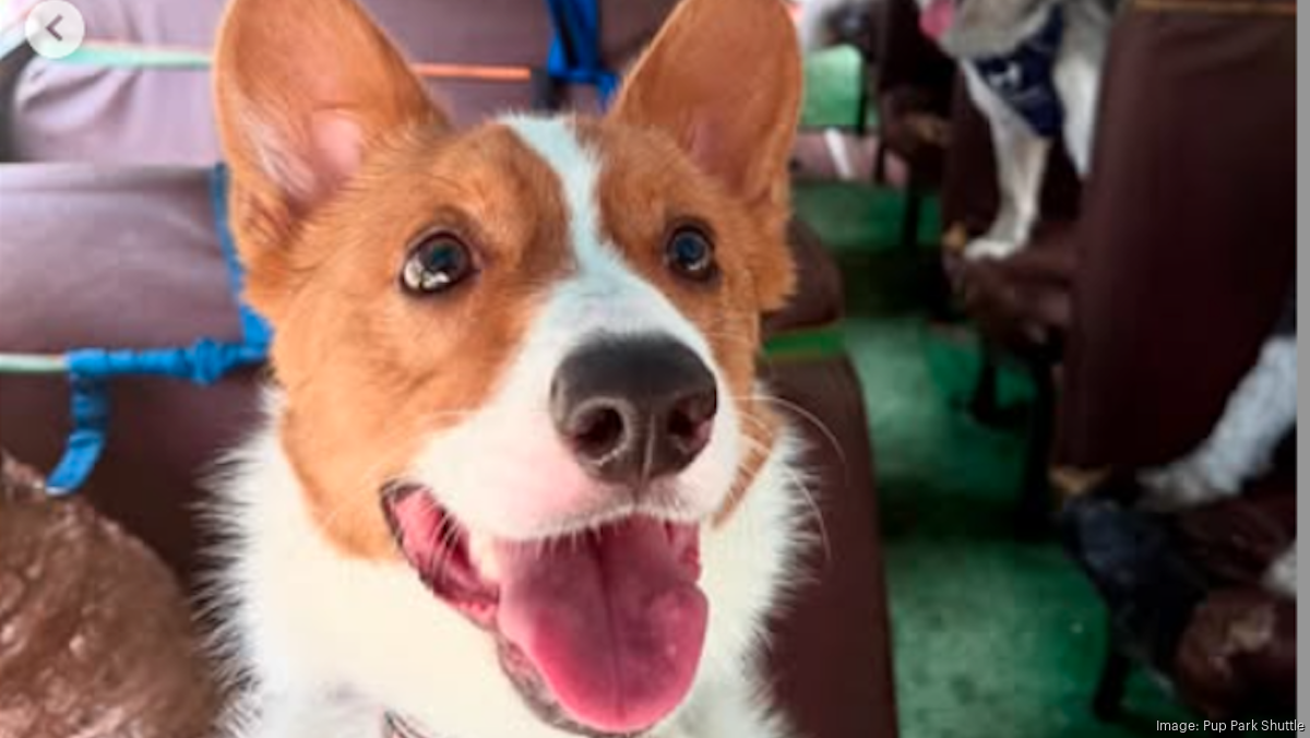 Former UNC basketball player drives Raleigh dog shuttle - Triangle ...