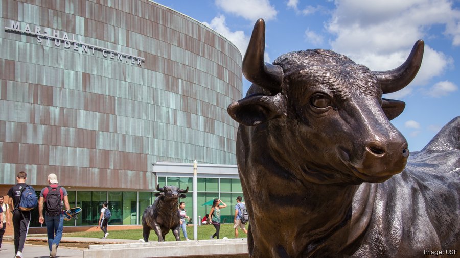 Florida universities climb in U.S. News rankings - Tampa Bay Business ...