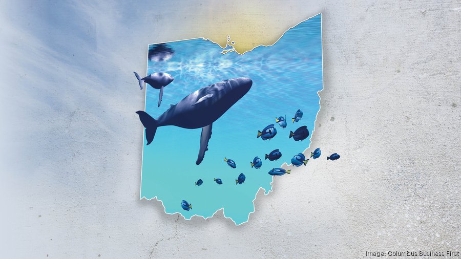 How JobsOhio invests in projects large and small across the state ...