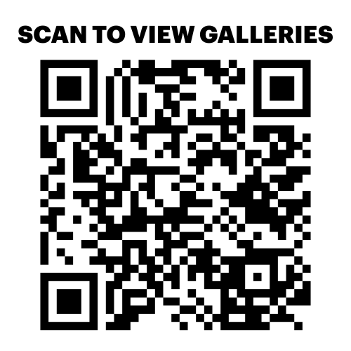Laura Stokes Gallery: Collectible Art Assets BizSpotlight - San ...