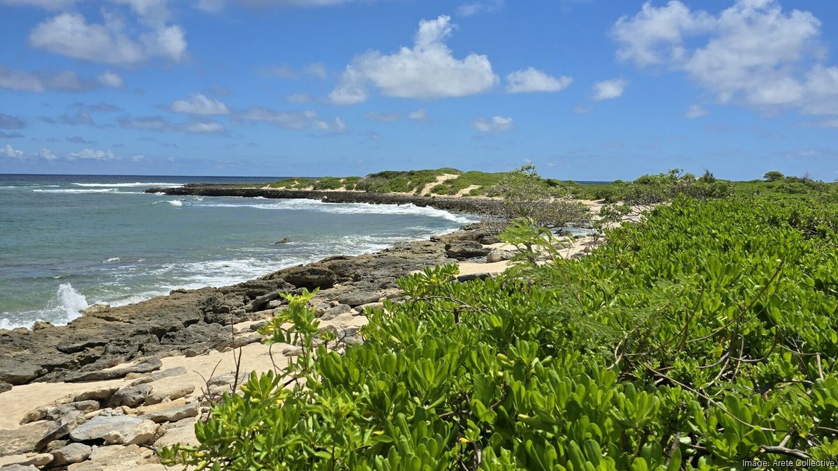 Areté Collective begins construction on Turtle Bay development ...