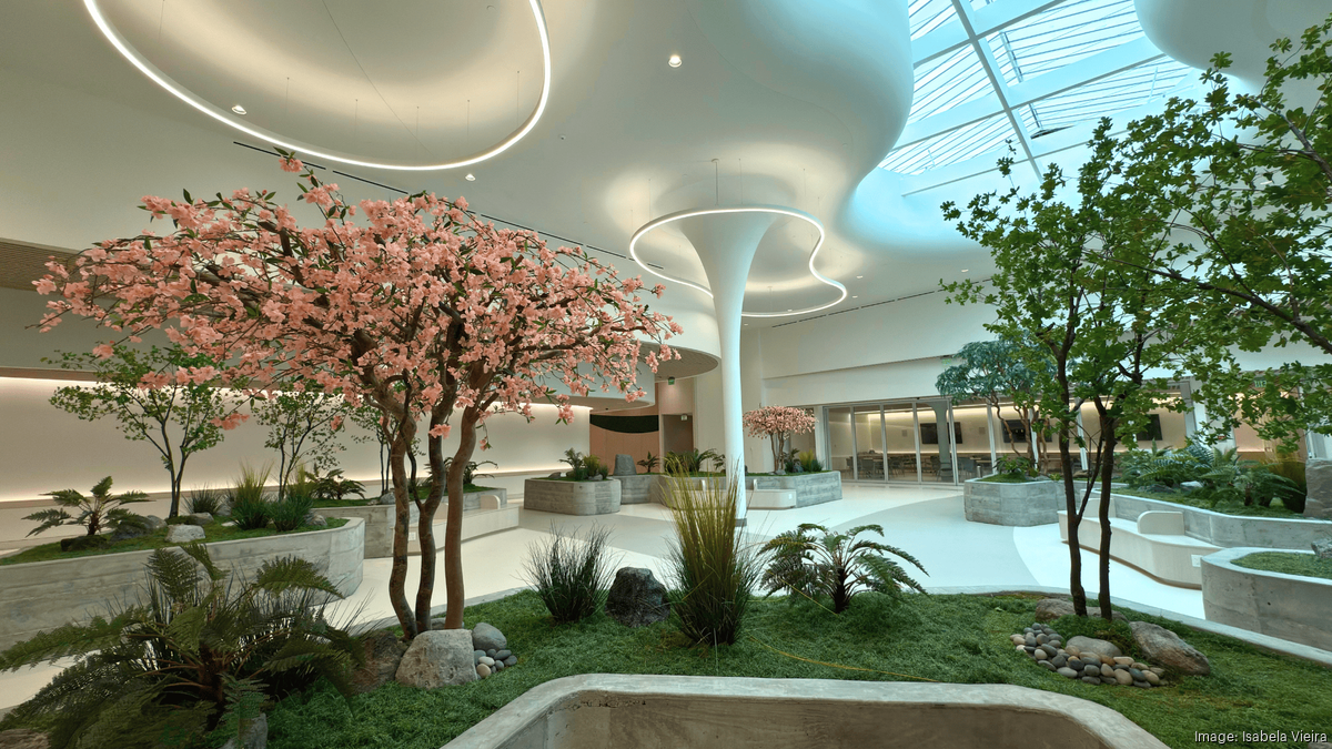 NEMS PACE senior center in San Jose wins Community Impact award ...