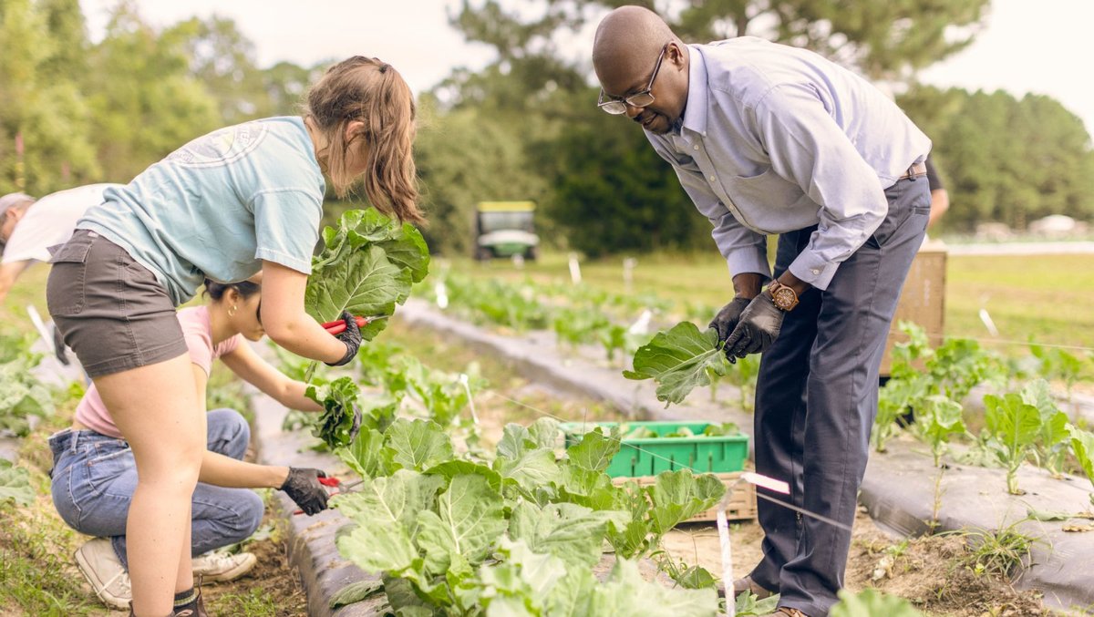 Health through food: A new strategy to lower costs and improve lives in ...