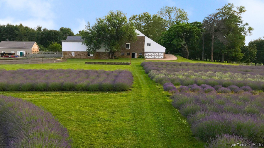 Bella and Gigi Hadid's mother Yolanda lists New Hope farm for $10.88M ...