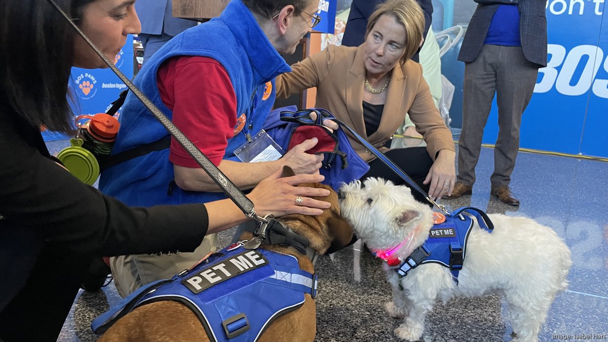 Boston Logan Airport kicks off therapy dogs program - Boston Business ...