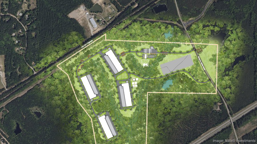 Natelli proposes AI data center near Apex, faces local opposition ...