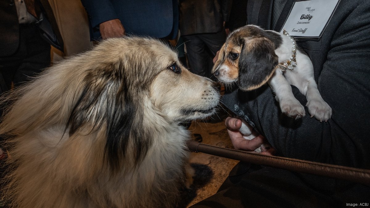 Wisconsin Humane Society hosts 2025 Paws & Claws Gala - Milwaukee ...