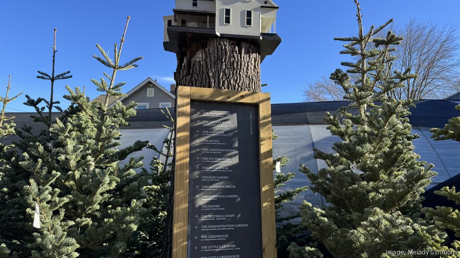 Baltimore retailer finds rare Silvertip trees after 11-year search ...