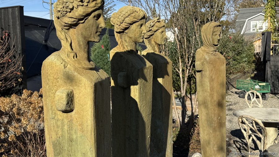 Baltimore retailer finds rare Silvertip trees after 11-year search ...