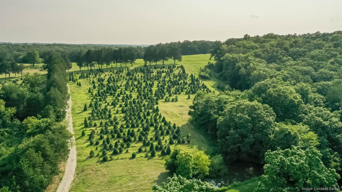 Meert Tree Farm in Festus listed for sale at $2.2 million - St. Louis ...