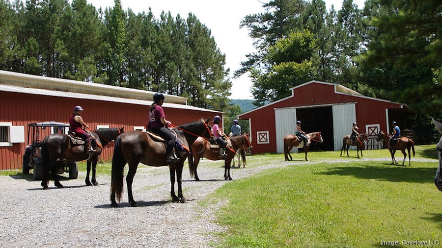 Atlanta Girl Scouts to close Camp Misty Mountain in 2026 - Atlanta ...