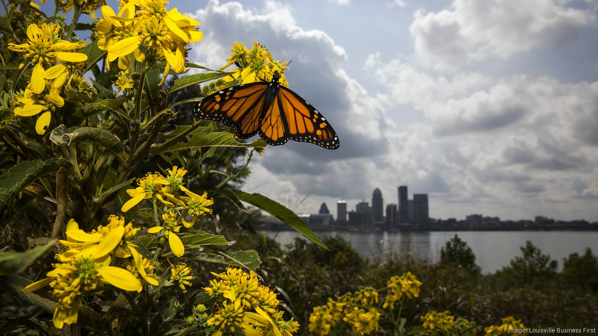 2025-26 Book of Lists - Louisville Business First