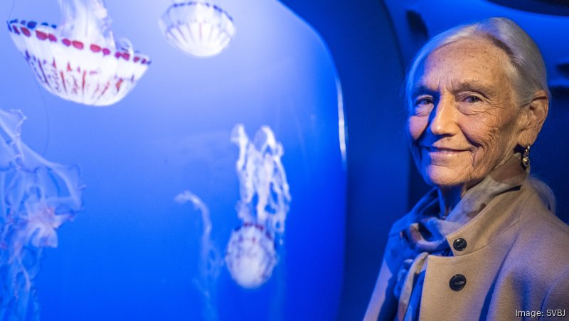 Julie Packard steps down as Monterey Bay Aquarium executive director ...