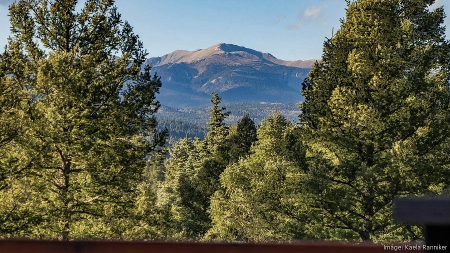 Ray Renfro's 'Woodland Castle' in Angel Fire lists for $2.75M ...