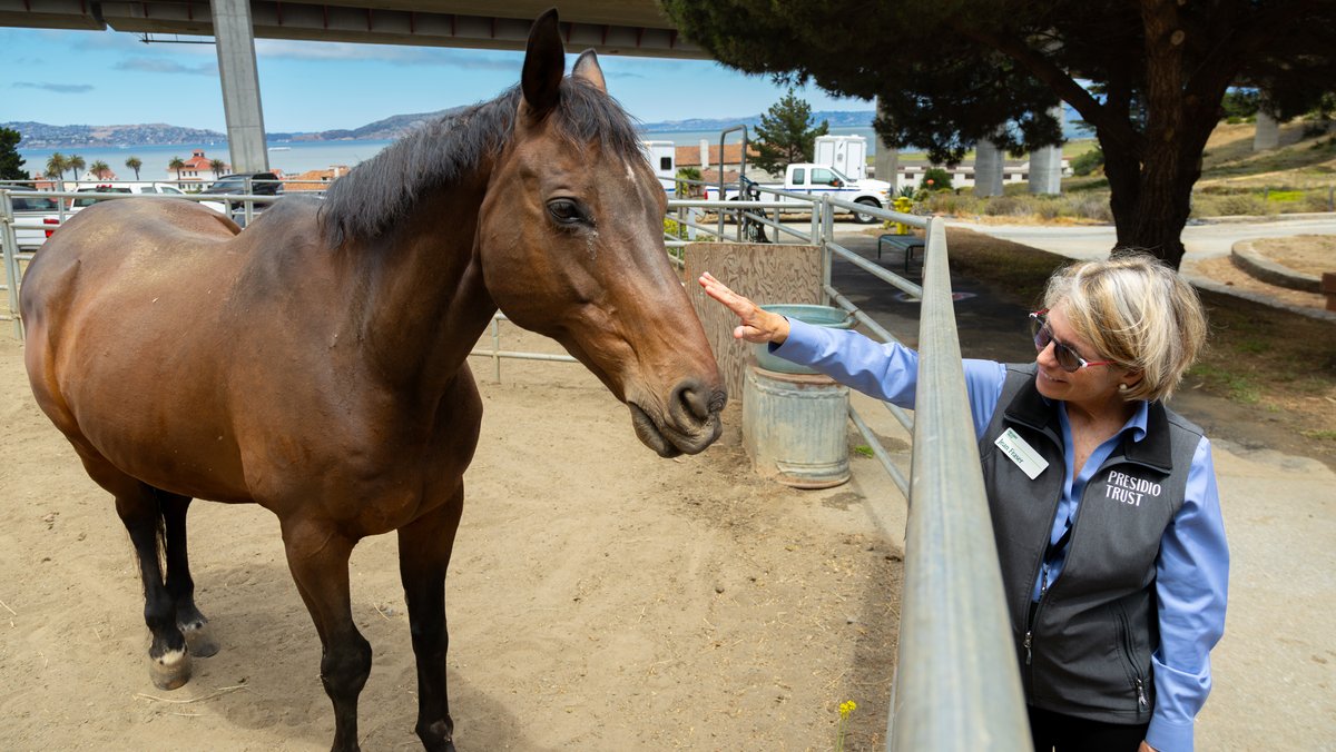 Presidio Trust CEO Jean Fraser leads the national park site into a ...