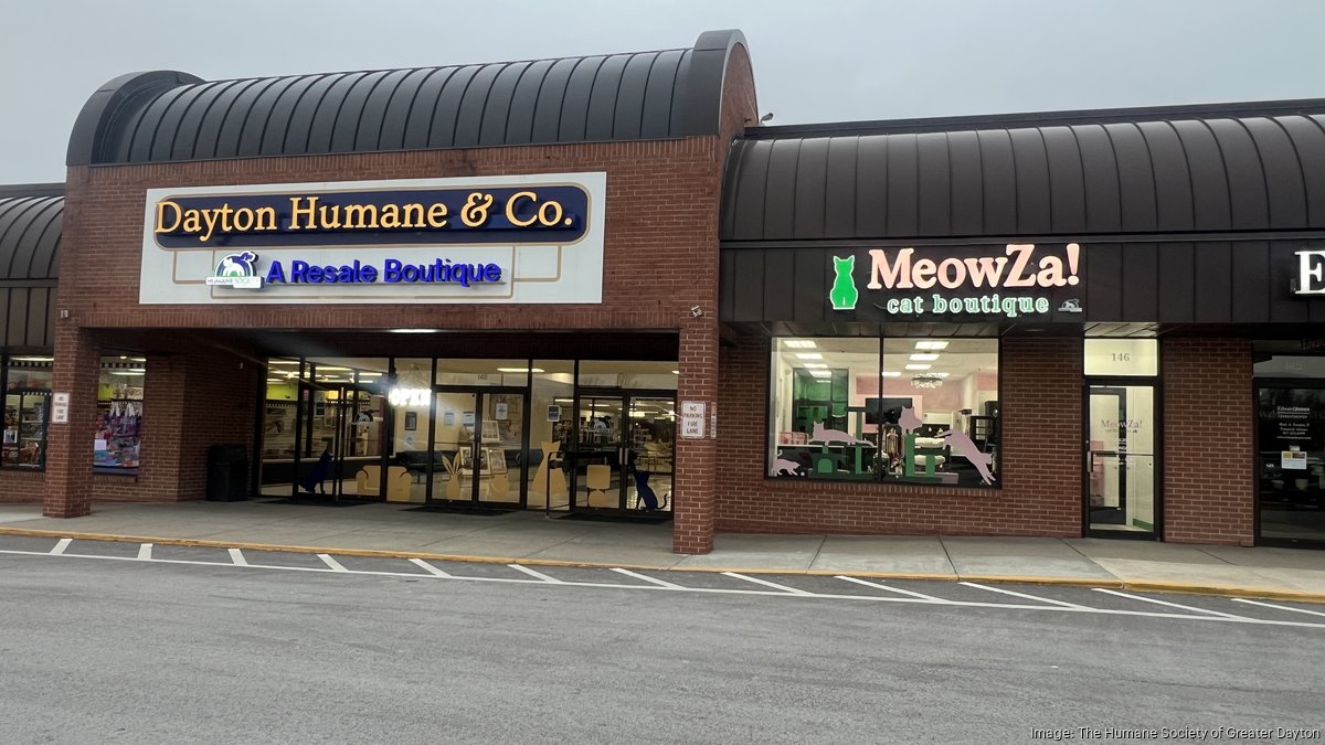Dayton Humane Society relocates MeowZa Cat Boutique to Centerville ...