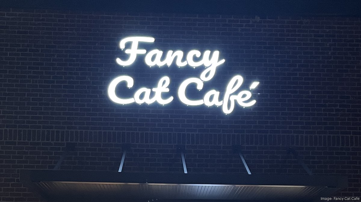 Fancy Cat Cafe coffee shop opens at 5048 Getwell Road, Southaven ...