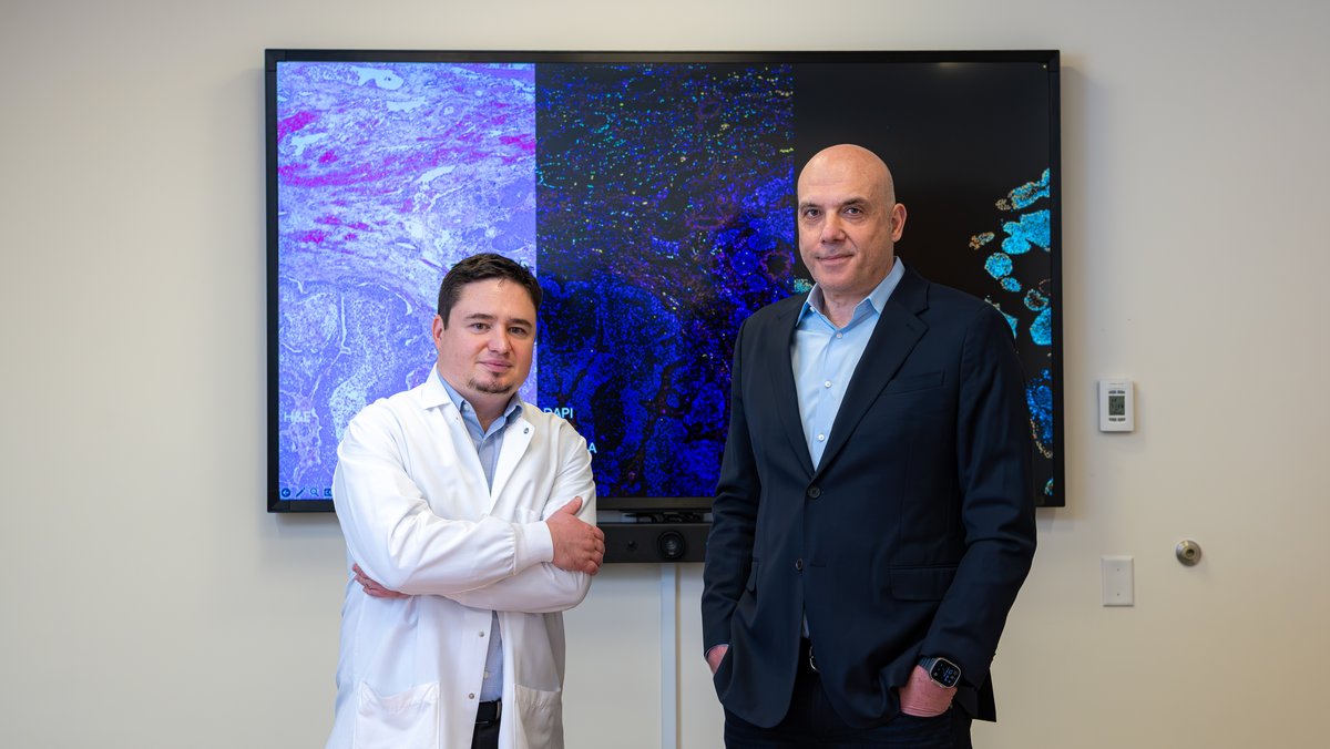 How AI is transforming heart and cancer care at Providence - Portland ...