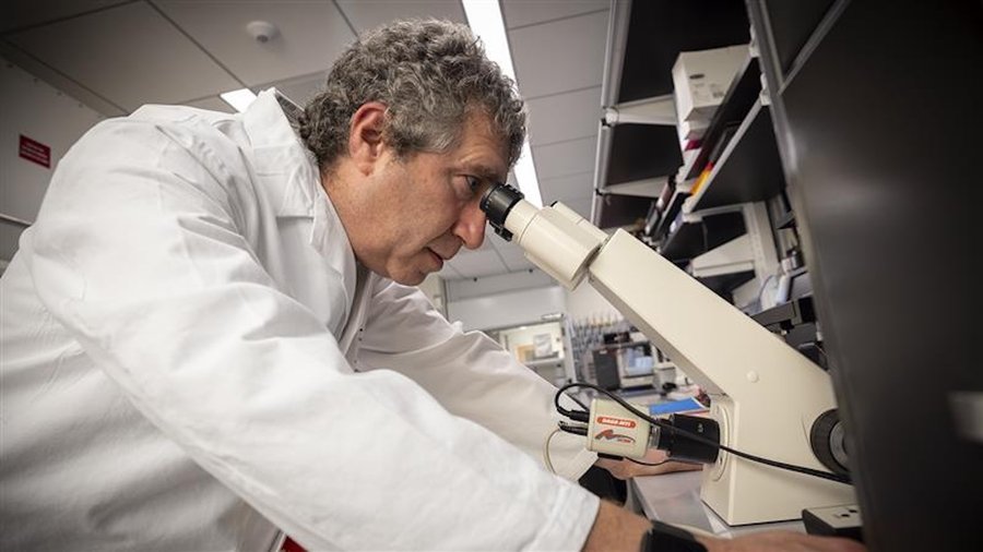 CAR T: Boston’s Beth Israel advances cancer immunotherapy breakthroughs ...