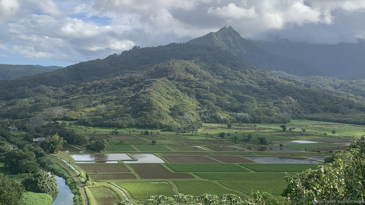 Pacific Concrete Cutting & Coring buys 82 acres from Grove Farm ...