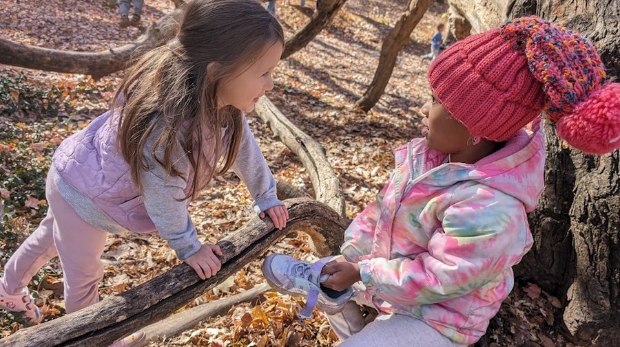 Nature meets classroom at Zoo Preschool - St. Louis Business Journal