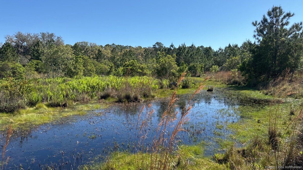 More than 500 acres in Putnam County to be preserved - Jacksonville ...