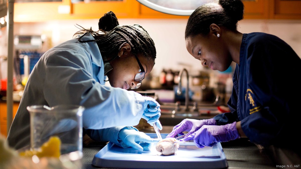 Wake Forest, N.C. A&T adjust research plans as NIH grants freeze ...