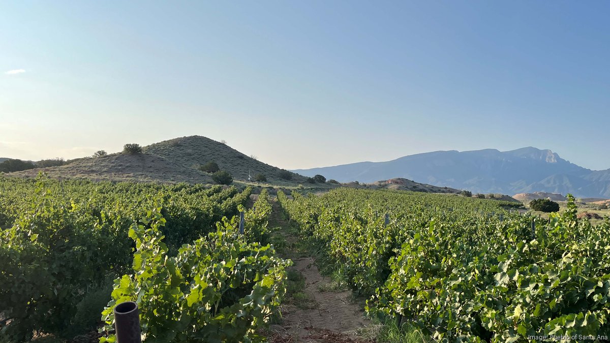 Santa Ana Pueblo taps state's largest winery for grapes - Albuquerque ...