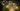 Bradenton developer plans 232-unit apartment complex at UMR Sports ...