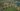 Bradenton developer plans 232-unit apartment complex at UMR Sports ...
