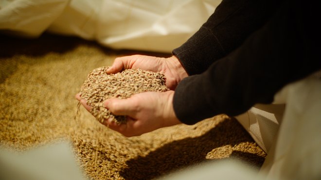 Brewing more than beer: How Fort George scaled sustainably in Astoria ...