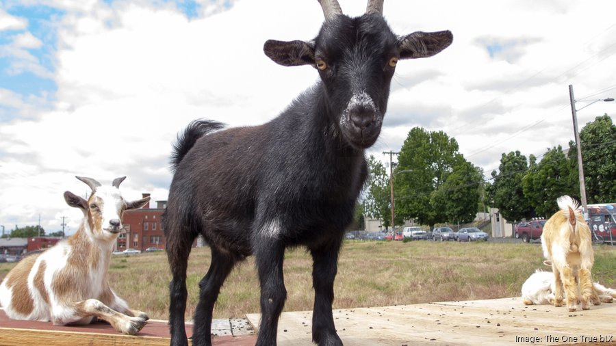 Developer pursues big plans for S.E. Portland's 'Goat Blocks ...