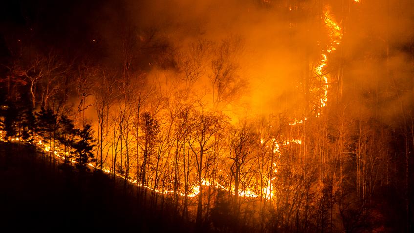 Georgia third for wildfires - Atlanta Business Chronicle