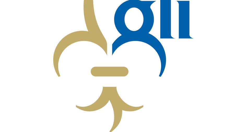Greater Louisville Inc. reports large loss for 2012 - Louisville ...