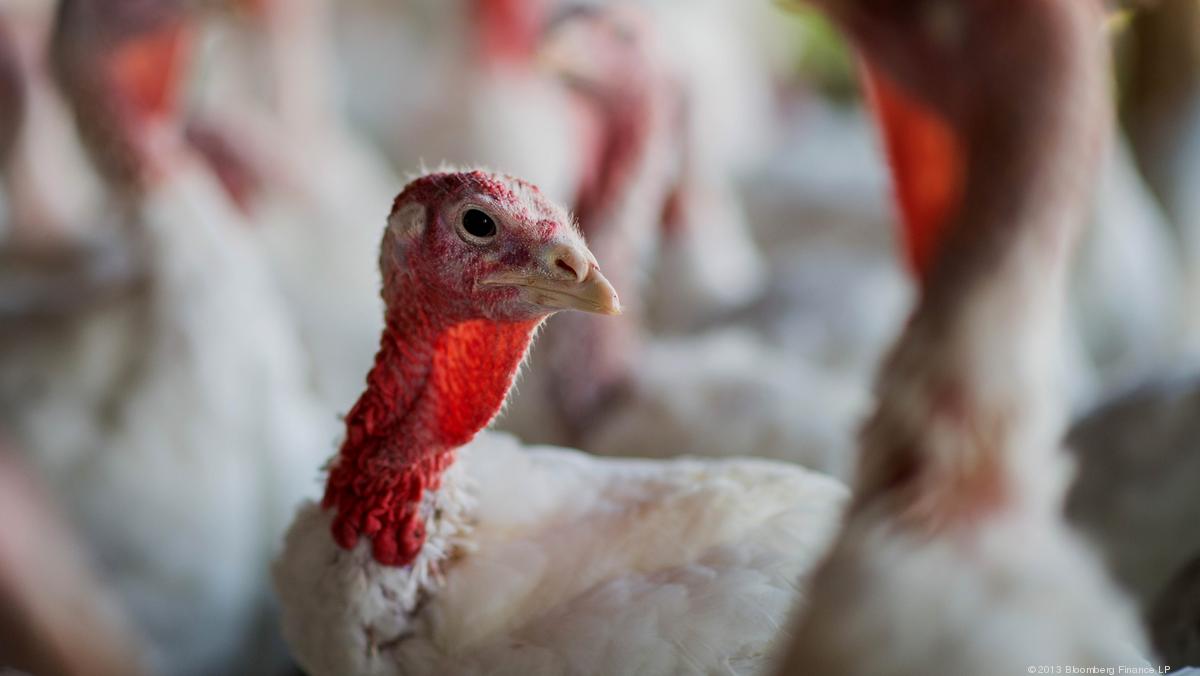 Delta flies ‘support turkey’ with a passenger - Atlanta Business Chronicle
