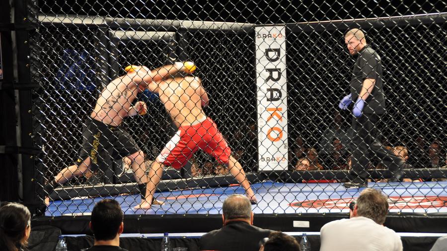 Business Pulse Poll: Will UFC fighting become an increasing part of the ...