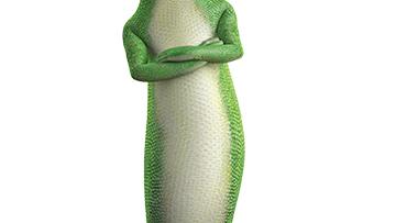 Geico hiring adjuster positions in Phoenix - Phoenix Business Journal