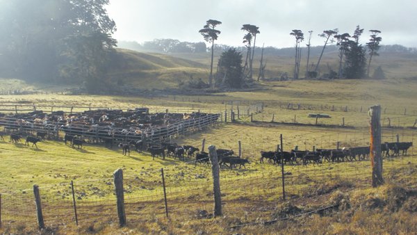 Elemental Excelerator portfolio company Go Electric to build microgrid ...