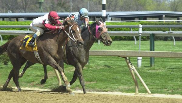 Horse racing clears Georgia Senate committee - Atlanta Business Chronicle