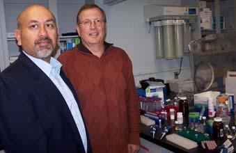 Onconova-mds __HOT__