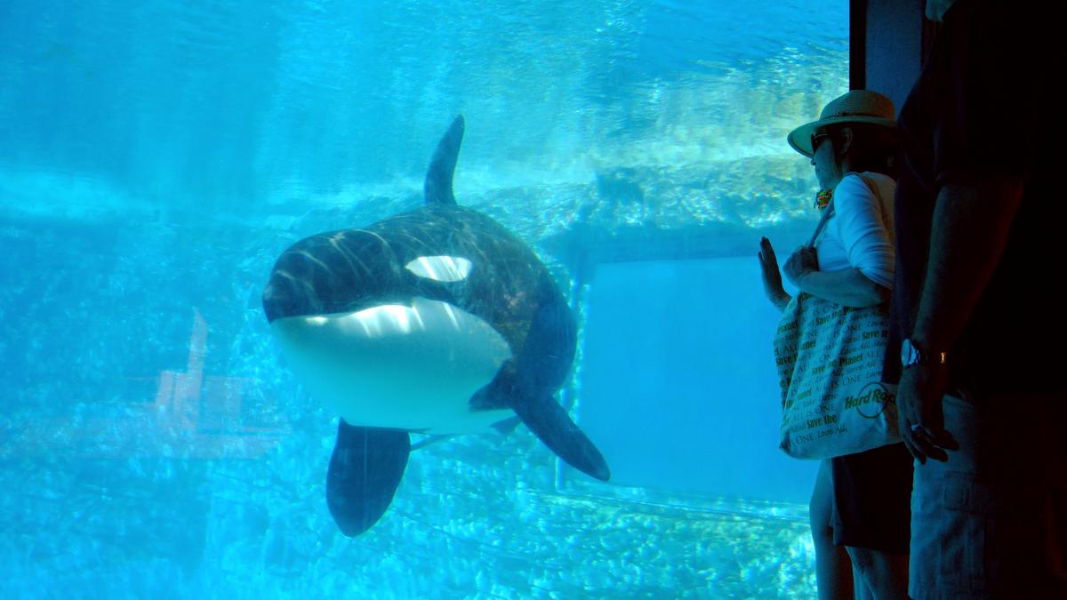 SeaWorld names Mark Trinske VP of investor relations - Orlando Business ...