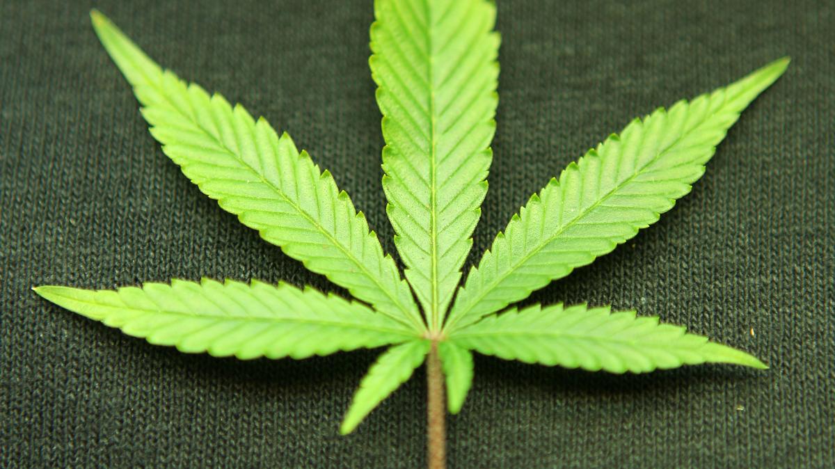 Opinion: Finding higher ground for Washington's pot laws - Puget Sound ...