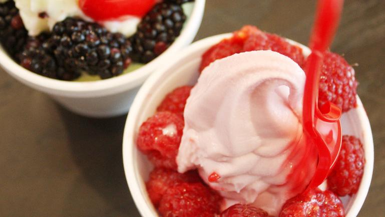 New YoFresh frozen yogurt cafe coming to Hales Corners, Franklin ...