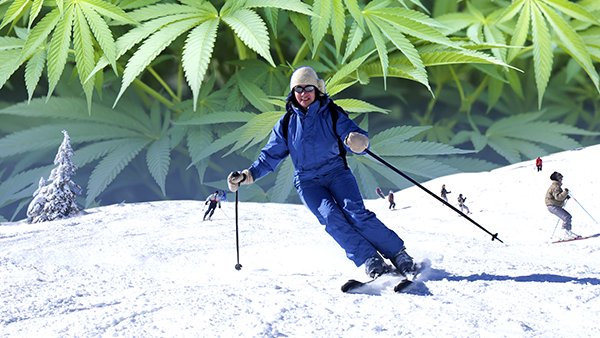 Skiers who mix snow and pot on their Colorado ski getaways may regret ...