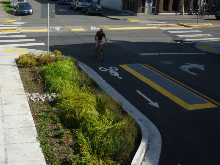 Portland Stormwater Curb Cut
