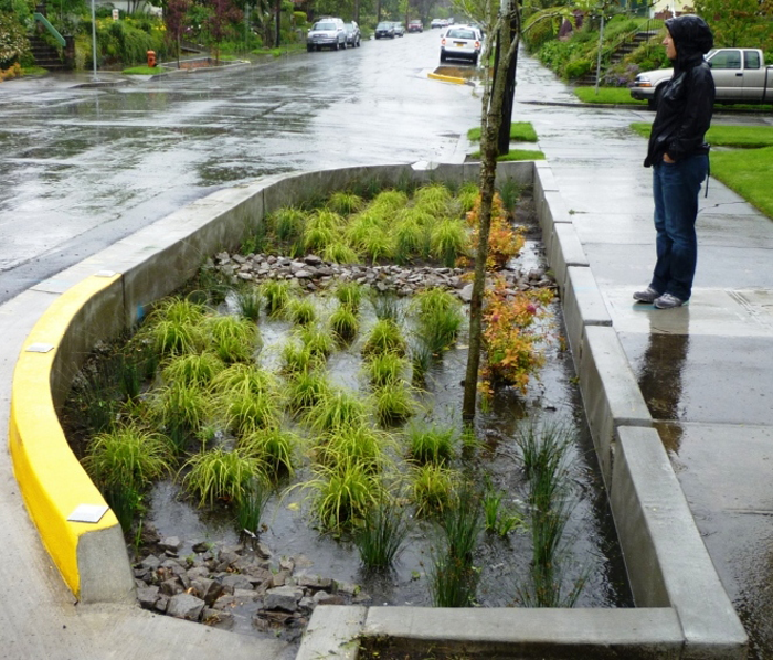 Green Street Stewards - PLANNING SUSTAINABLE